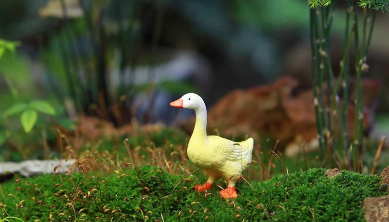 Vivarium, Paludarium & Terrarium Decorations - Miniature Animals