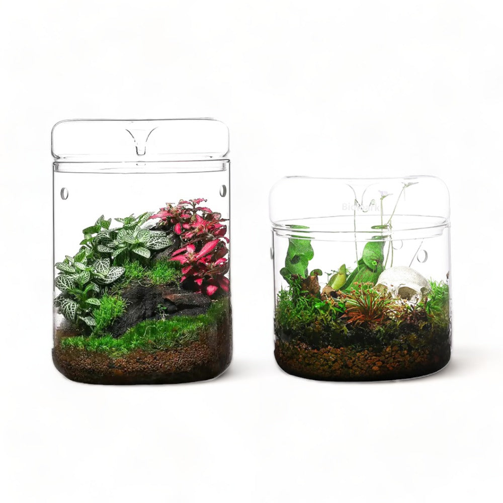Enclosed Paludarium Terrarium Micro Terrarium BIOLOARK MY-180 -180H ...