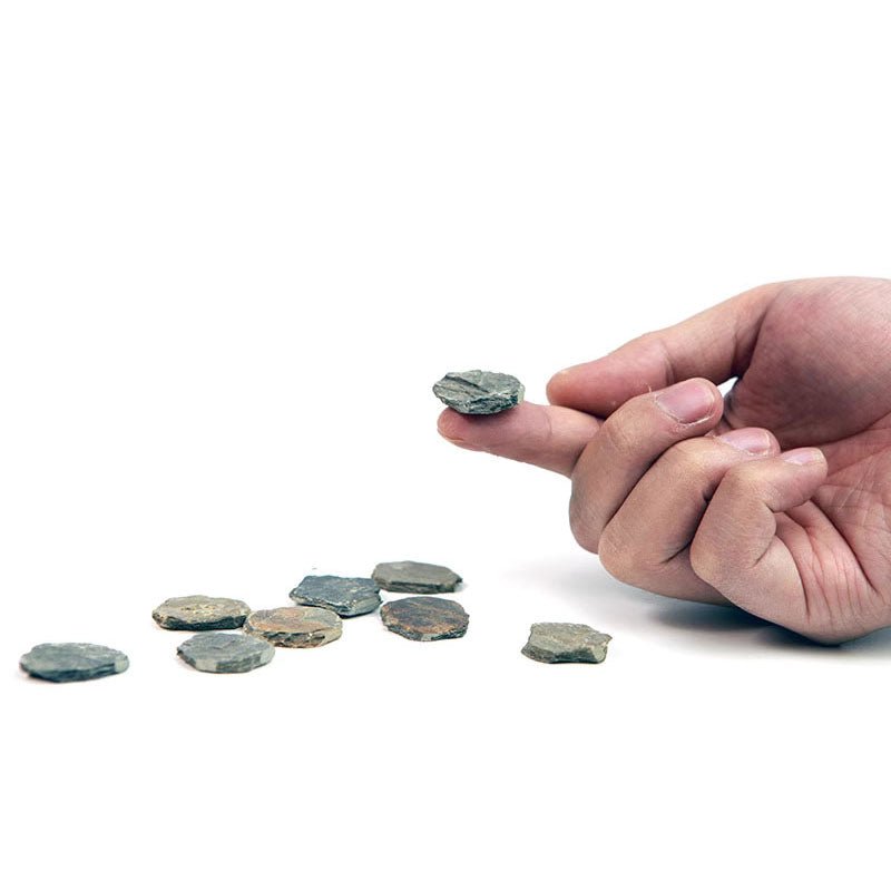 Vivarium & Terrarium Miniature Natural Stone Pathway Pieces Set of 10