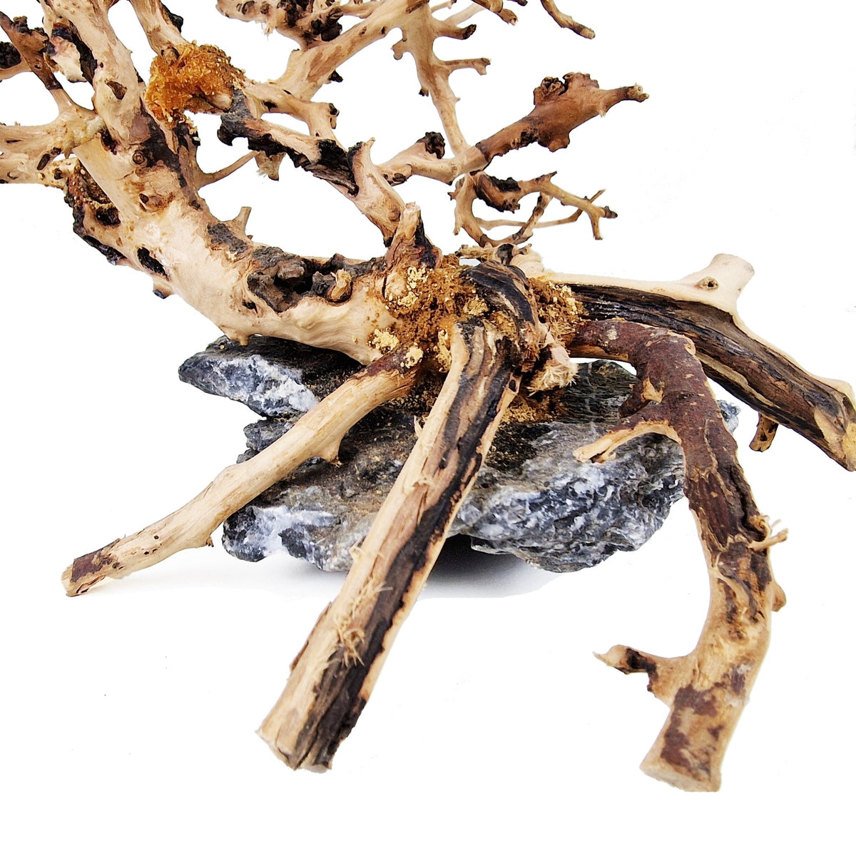 WYSIWYG Hardscape- Aquarium Fish Tank Driftwood Bonsai Tree - Small ...