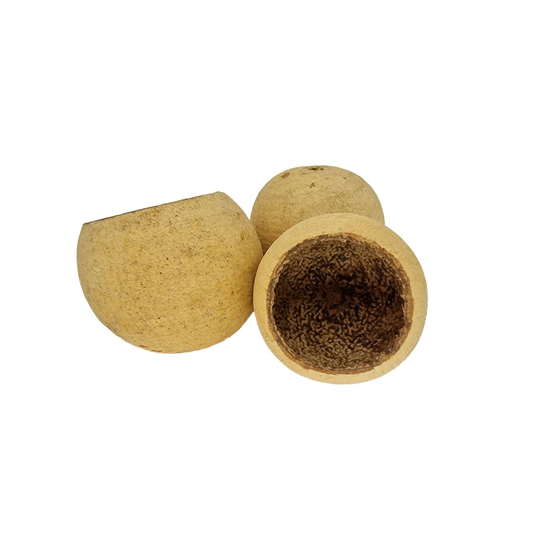 Aquatic Botanicals: Bael Tree Pods - Blackwater Biotope Aquarium ...