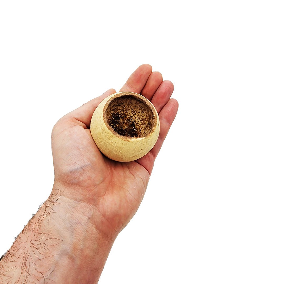 Aquatic Botanicals: Bael Tree Pods - Blackwater Biotope Aquarium ...