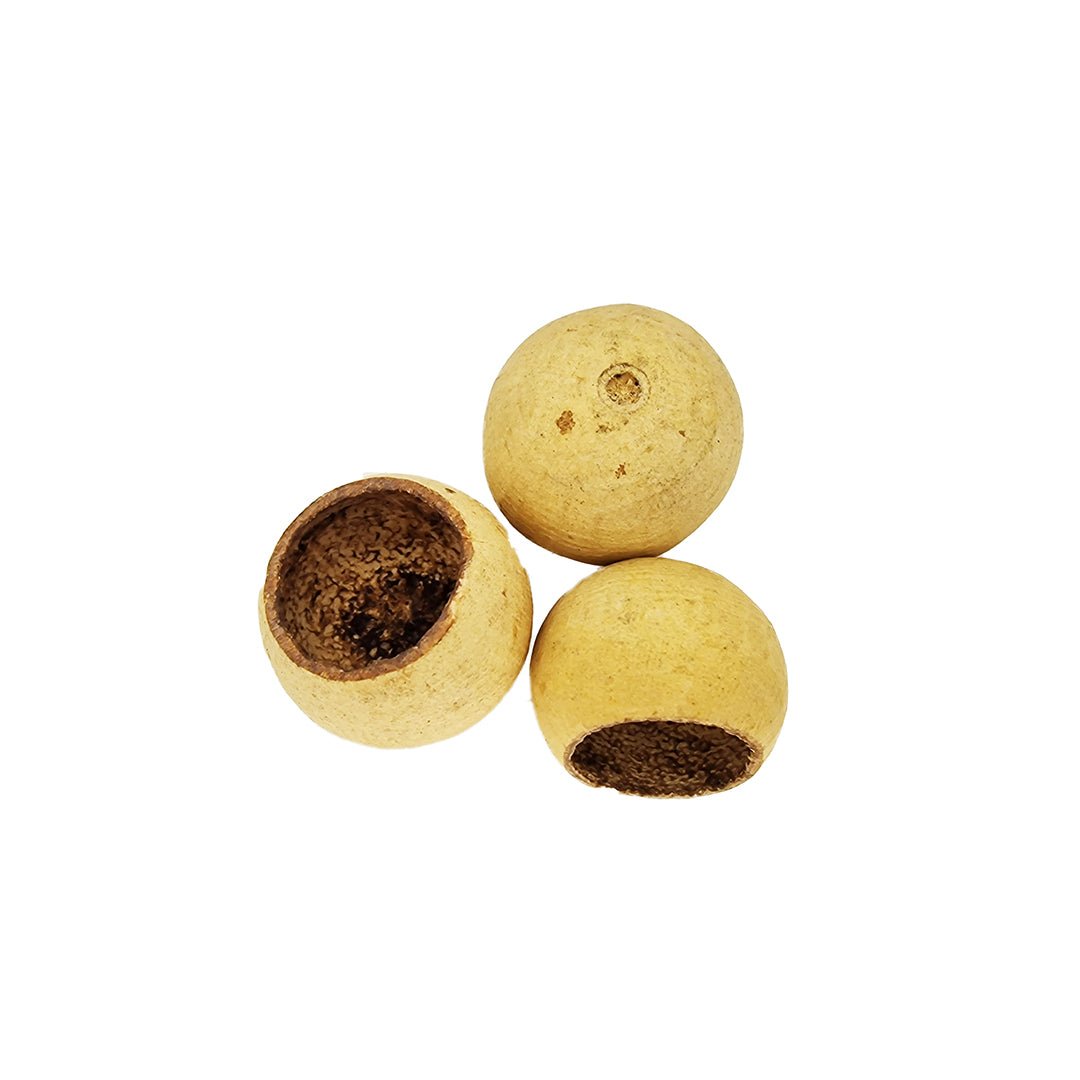 Aquatic Botanicals: Bael Tree Pods - Blackwater Biotope Aquarium ...