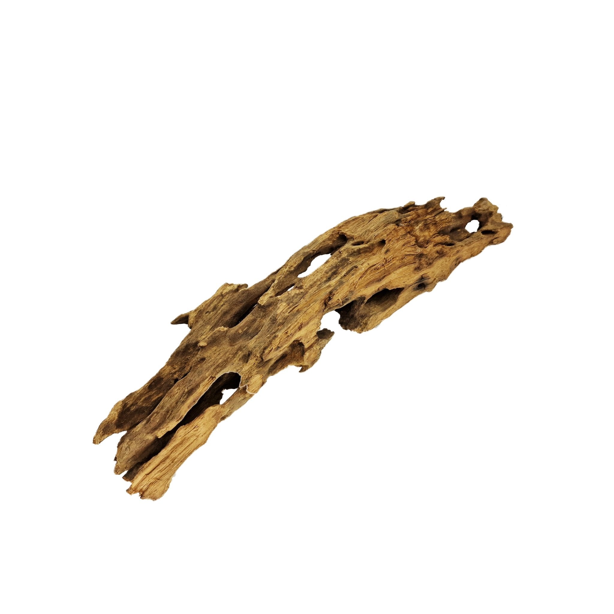 WYSIWYG Hardscape- Hand Selected Dragon Wood Three Piece Set – Castle ...