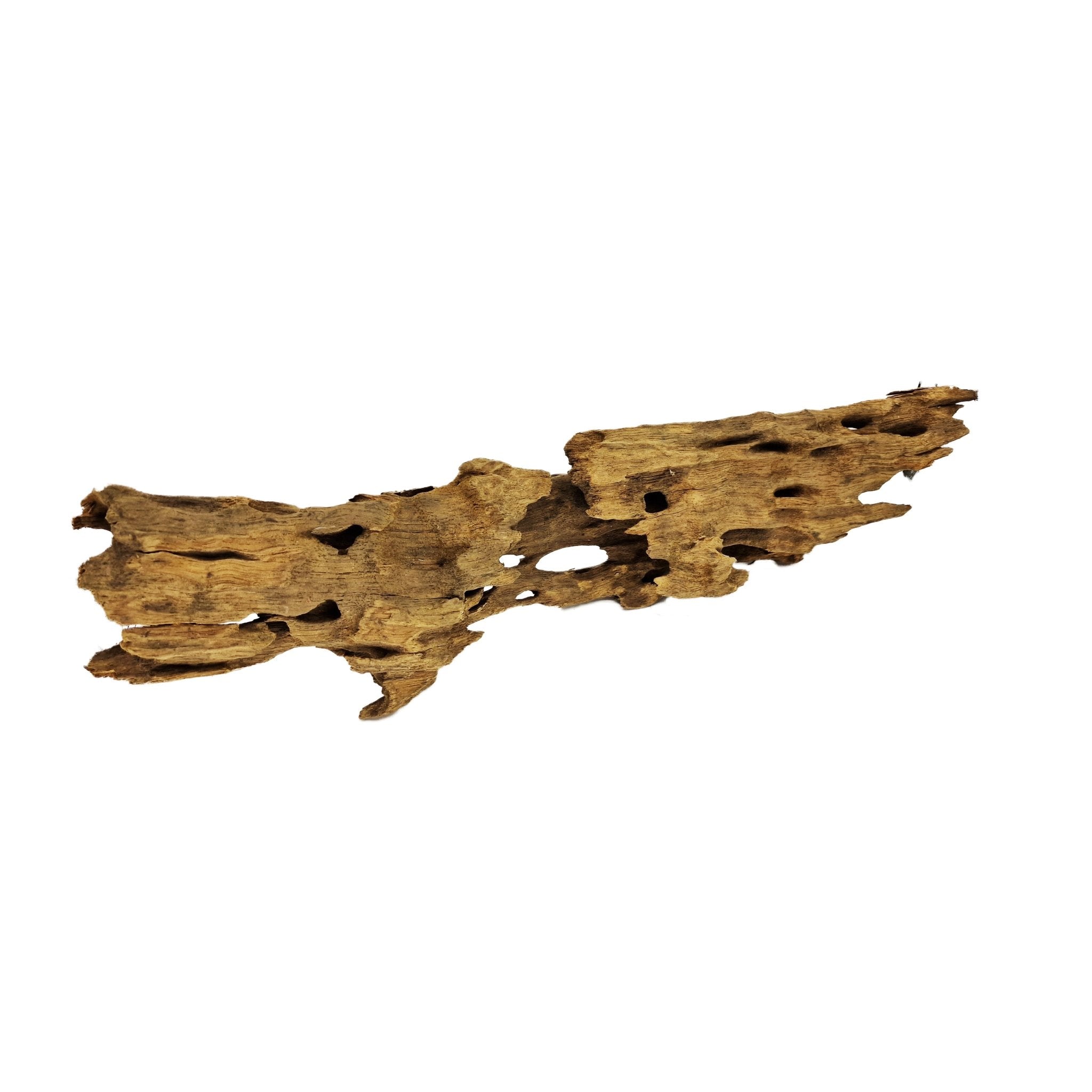 WYSIWYG Hardscape- Hand Selected Dragon Wood Three Piece Set – Castle ...