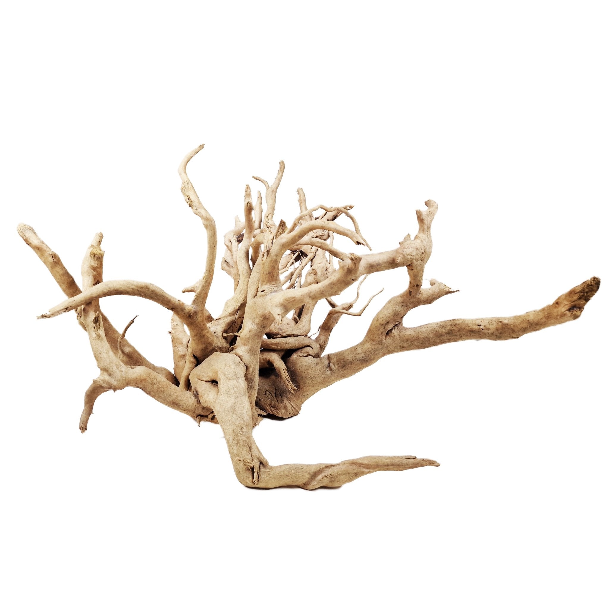 WYSIWYG Hardscape- Hand Selected Spider Wood Azalea Root - Extra Large