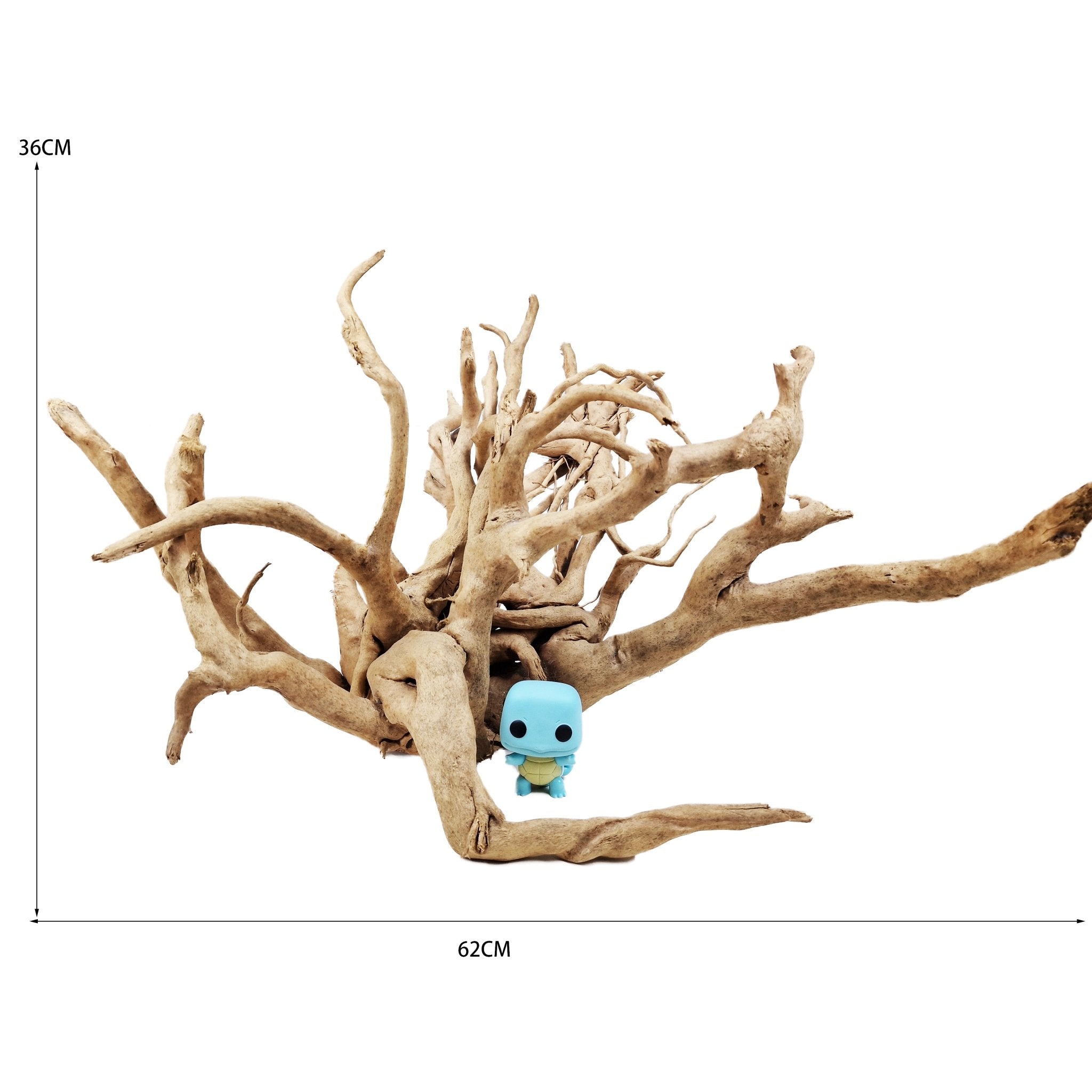 WYSIWYG Hardscape- Hand Selected Spider Wood Azalea Root - Extra Large