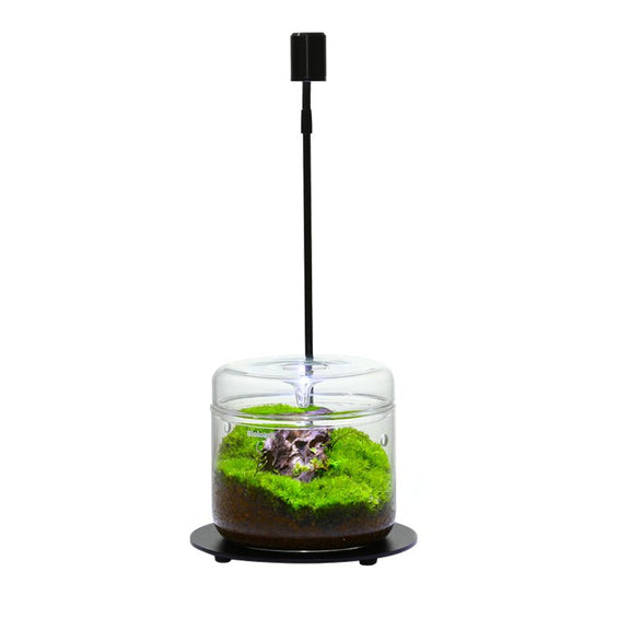 Aquarium Lighting: Terrarium Paludarium Wabi Kusa LED USB Light